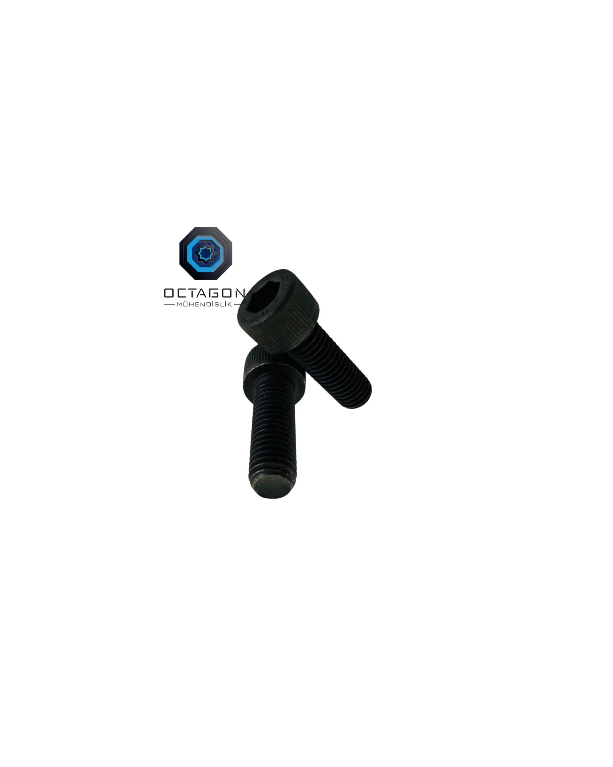 0211 1960 81 SCREW, HEX HEAD - Octagon Mühendislik